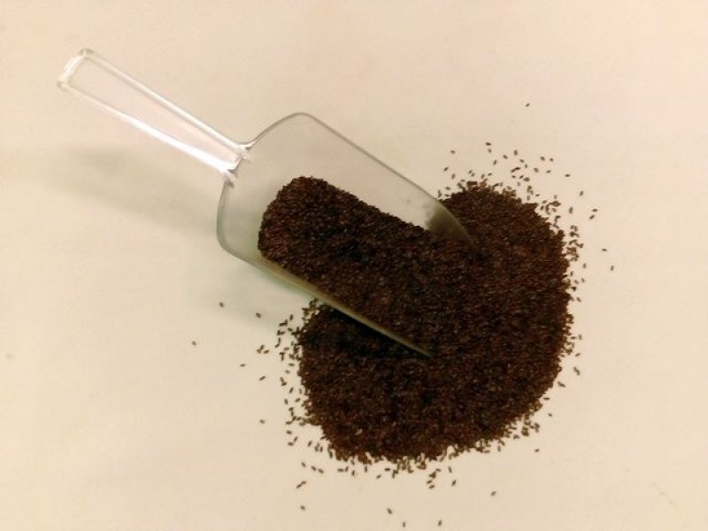 Zaragatona (Plantago psyllium L.) / SEMILLAS 100 gr - Plantas Medicinales